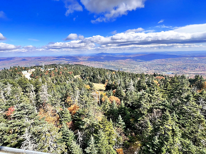 Ludlow Mountain's slopes take a summer vacation from skiing, trading snowboards for hiking boots and winter whites for lush greens.