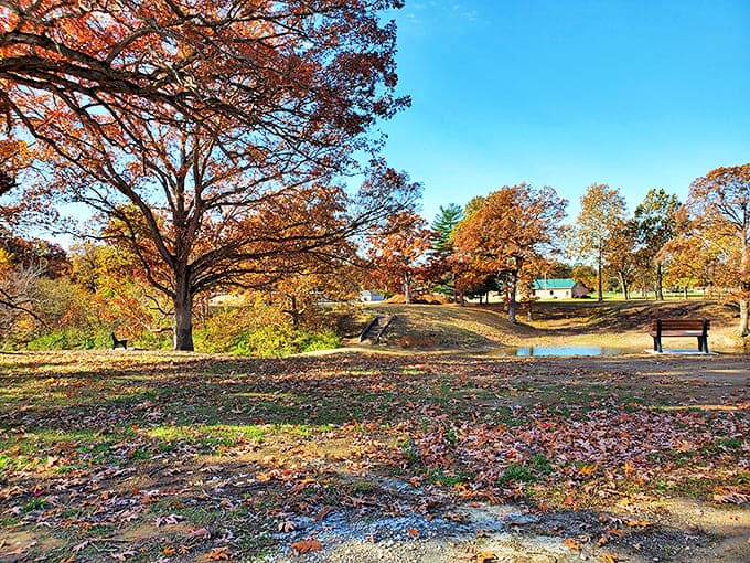 Manners Park offers peaceful green spaces perfect for family picnics, leisurely walks, and reconnecting with nature.
