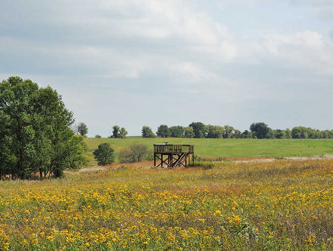 Nature's observation deck&mdash;this wooden platform offers front-row seats to Minnesota's greatest wildlife show.