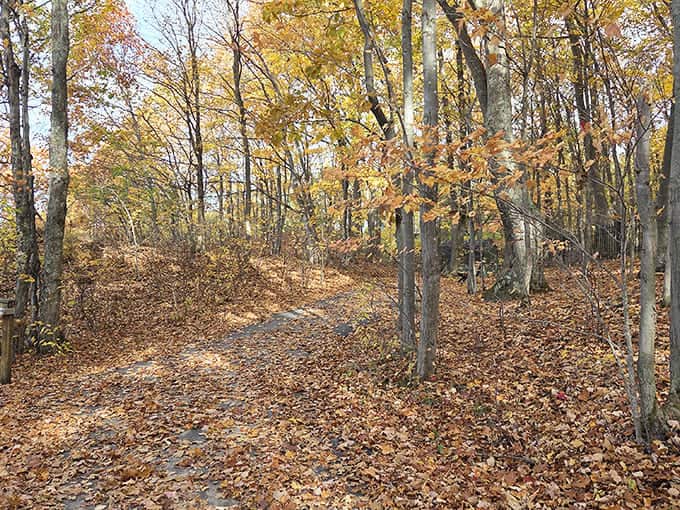 Middle Village Park offers a peaceful respite from the road, where Lake Michigan whispers stories to those who pause to listen.