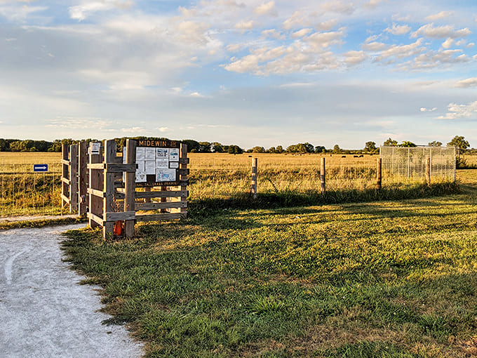 Midewin National Tallgrass Prairie stretches endlessly, offering the kind of wide-open spaces that make your soul feel bigger.