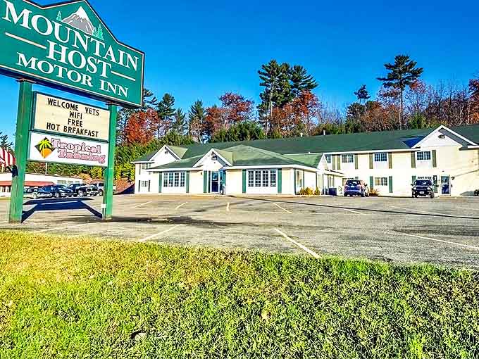 Mountain Host Motor Inn offers comfortable lodging with that personal touch chain hotels forgot existed somewhere around 1987.