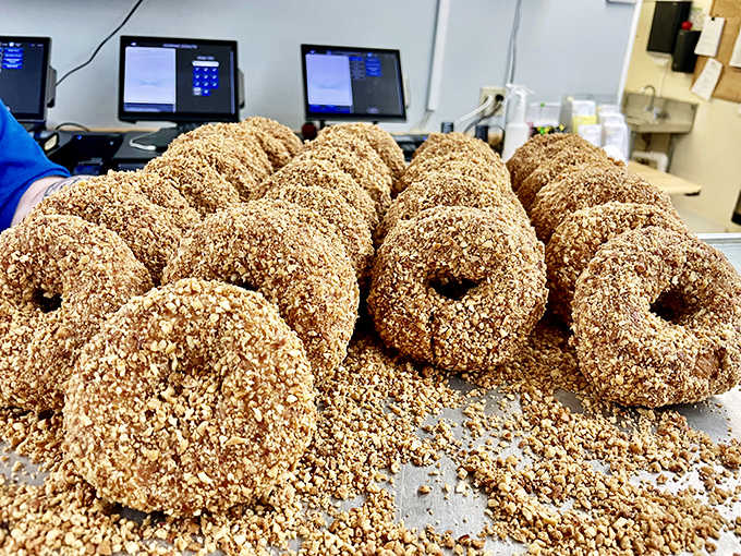 Nutty donuts coated in crushed peanuts create a textural wonderland that crunches before yielding to soft, pillowy dough beneath.