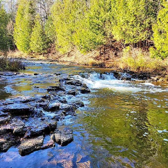 Ocqueoc Falls creates nature's perfect spa day &ndash; bubbling waters massaging ancient rocks while forest shadows dance across crystal-clear pools.