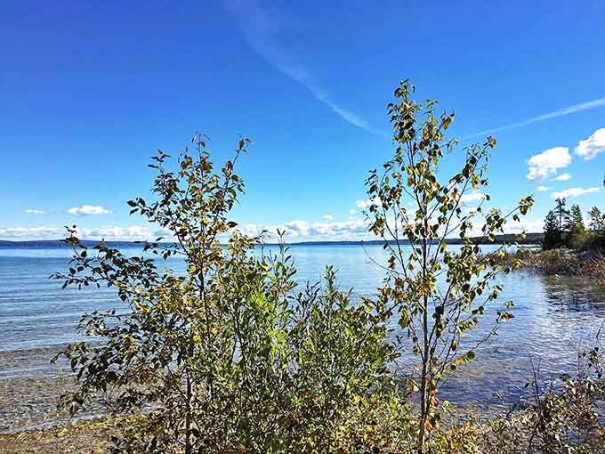 Crystal clear waters meet pristine shoreline in a view that makes you wonder if someone secretly adjusted your vision to HD.