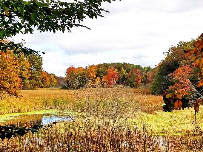 Autumn transforms Olive Shores into a painter's palette, proving that beach season doesn't have to end when summer does.