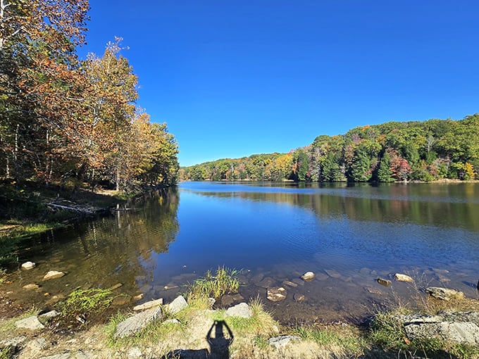 Rose Lake reflecting autumn's glory like nature's own mirror &ndash; selfie opportunities that actually deserve the memory space.