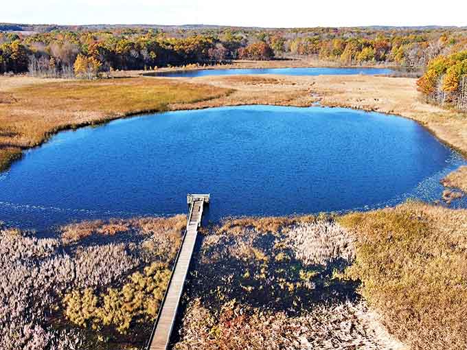 Rose Oaks County Park's boardwalk invites contemplative strolls through wetlands where nature unfolds its quiet drama in every season.