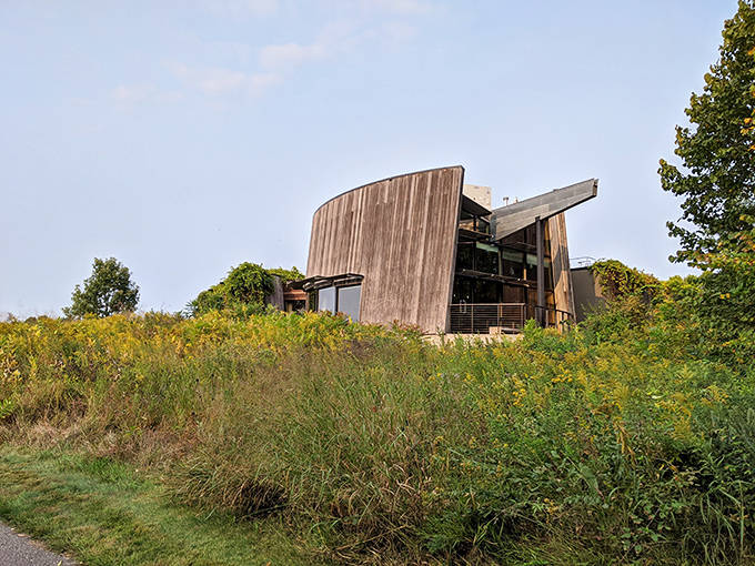 Schaar's Bluff Gathering Center stands like architecture's love letter to nature &ndash; all curves and windows embracing the landscape.