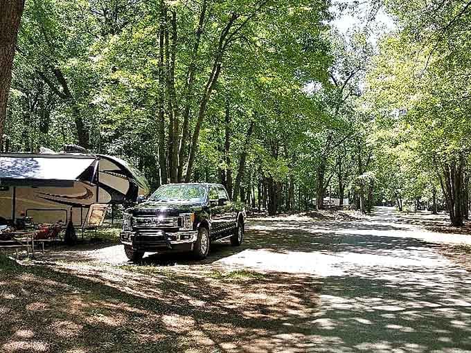 Camping nirvana: spacious sites nestled among towering trees offer the perfect balance of privacy and community.