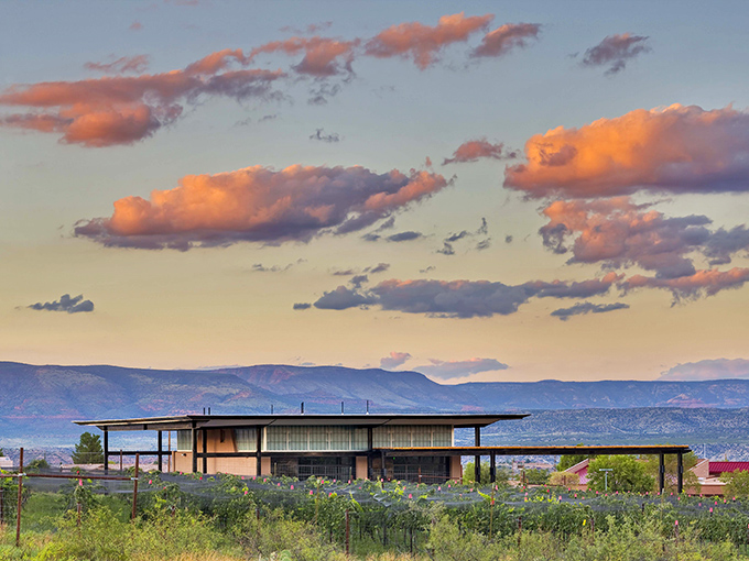 The Southwest Wine Center's modern facility showcases Arizona's surprising viticulture success, where desert heat creates bold, award-winning vintages.