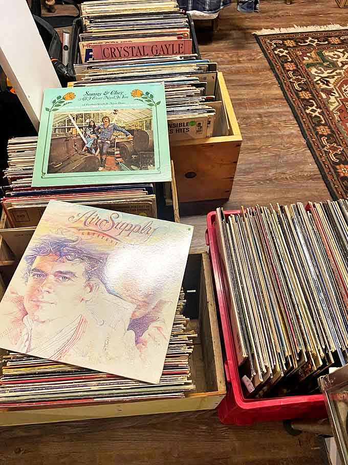 Flip through these time-traveling musical portals and suddenly you're seventeen again, feeling every lyric with your entire soul.