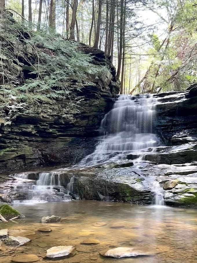 Another angle reveals the waterfall's gentle persistence, carving beauty from stone with nothing but time and determination on its side.