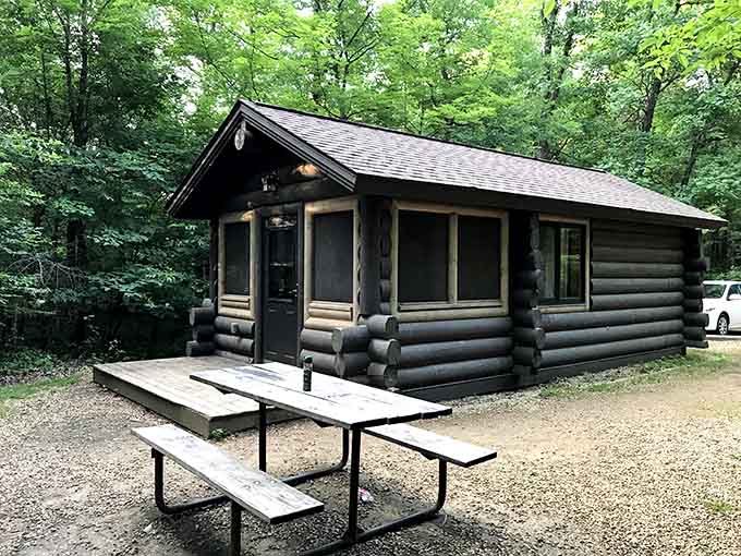 Cabin life at Wild River means waking up to nature's alarm clock and loving every minute.