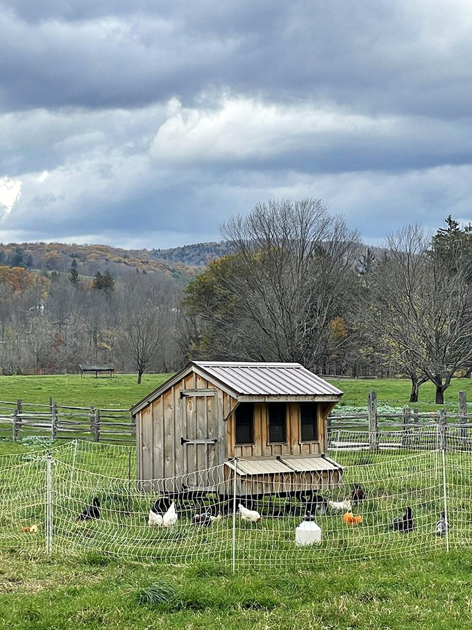Chicken real estate doesn't get more charming than this rustic coop, where feathered residents enjoy countryside views while producing breakfast the old-fashioned way.