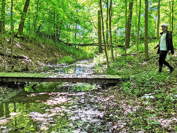 This humble footbridge connects not just two sides of a creek, but city-dwellers to the natural world they've been missing.
