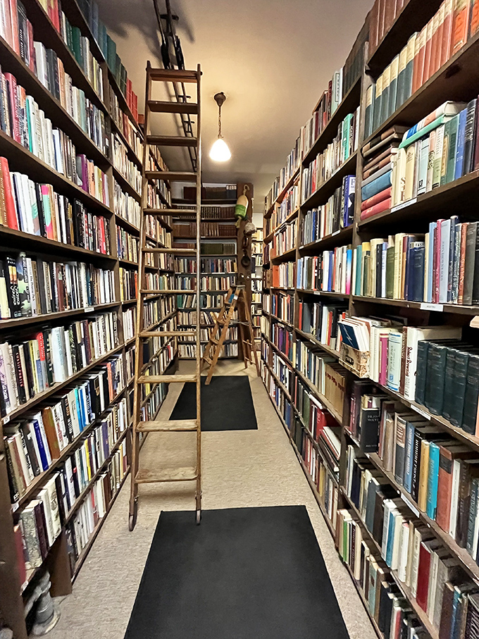 Not just books &ndash; vintage typewriters, antique photographs, and historical ephemera create a museum-like atmosphere for literary explorers.