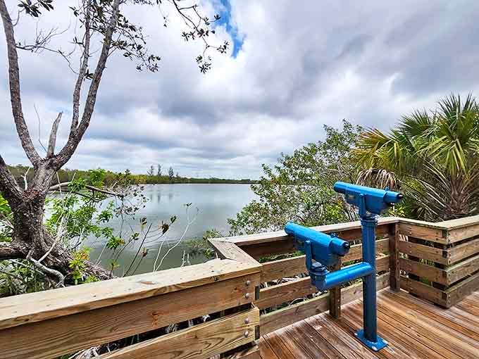 Blue binoculars await curious eyes, ready to transform distant wildlife sightings into up-close encounters without disturbing a feather.