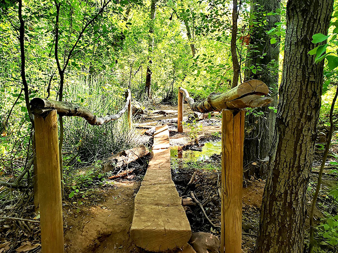 Rustic wooden bridge crossing: This humble crossing feels like a gateway to another world &ndash; simple, functional, and perfectly at home in the wilderness.