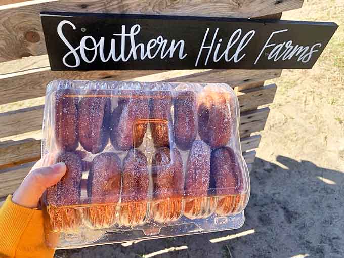 The ultimate souvenir &ndash; a container of Southern Hill Farms' famous cider donuts, though the odds of them making it home uneaten are slim.