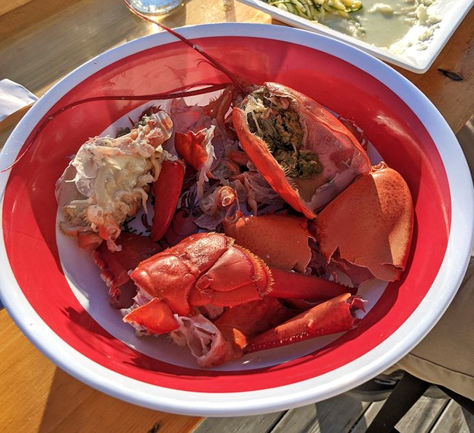 Lobster anatomy 101: These crimson shells once housed the sweetest meat in the Atlantic. Empty now, but the memory lingers deliciously.