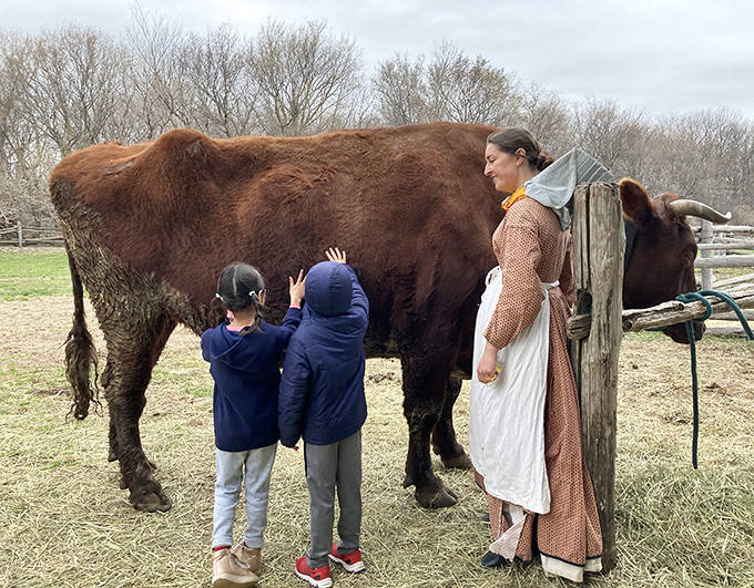 The gentle dance between child and animal creates magical moments of discovery that no digital experience could ever replace.