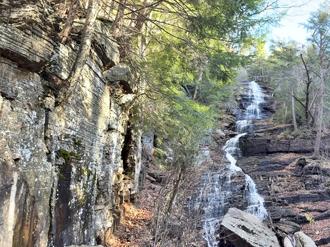 The geological layer cake of Vermont&mdash;each stratum tells a story older than Betty White's first television appearance.