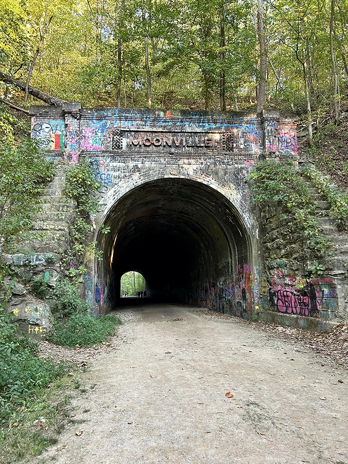 The tunnel's brick interior shows both decay and resilience, each stain and crack adding character to this engineering marvel.