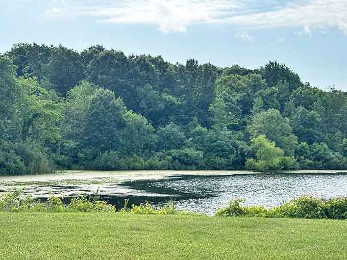 Summer's lush greenery creates a perfect backdrop for lakeside lounging – nature's version of a five-star resort view.