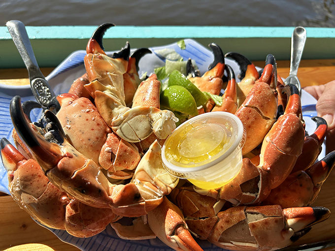 A platter that would make Neptune himself jealous. The fish sandwich looks like it's auditioning for a food magazine cover.