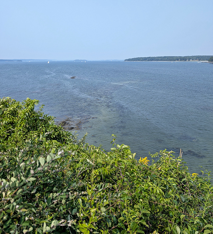 Lush greenery now claims the upper reaches of Fort Gorges, nature slowly reclaiming what man abandoned decades ago.