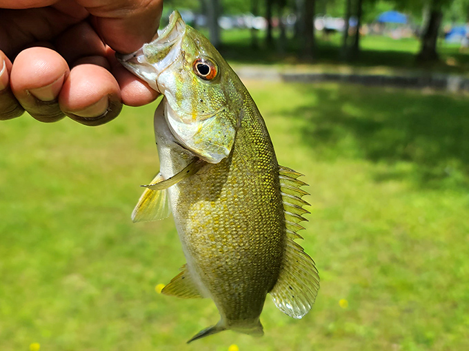 The day's catch: A smallmouth bass from Crystal Lake &ndash; proof that fishing here is as rewarding as it is scenic.