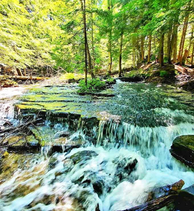 The stream meanders through sun-dappled forest, carrying ancient minerals and whispering secrets only understood by the surrounding trees.