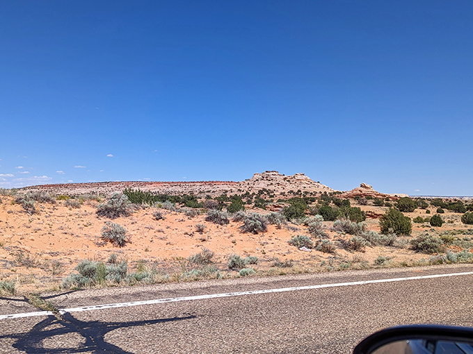 Under a perfect sunny day, the desert reveals its true colors &ndash; not desolate, but alive with texture, shadow, and surprising beauty.