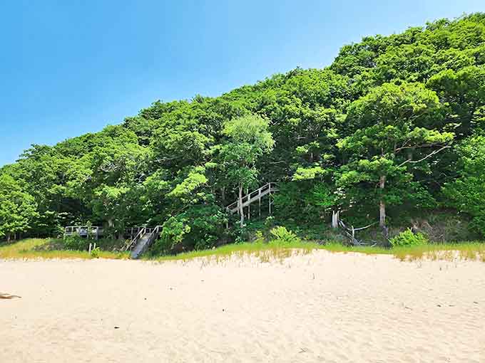 A verdant wall of Michigan greenery stands guard over the beach, creating natural privacy screens for sunbathers.