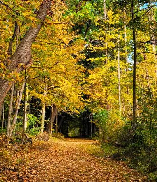 715 acre park illinois ftr