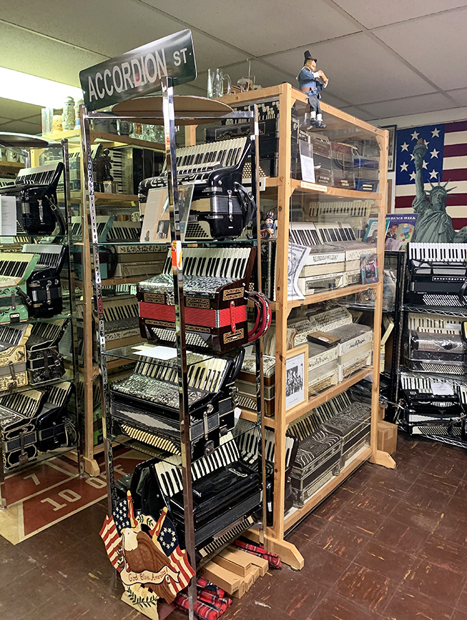 "Accordion Street" marks the spot where music history lives on shelves packed with instruments from around the world.