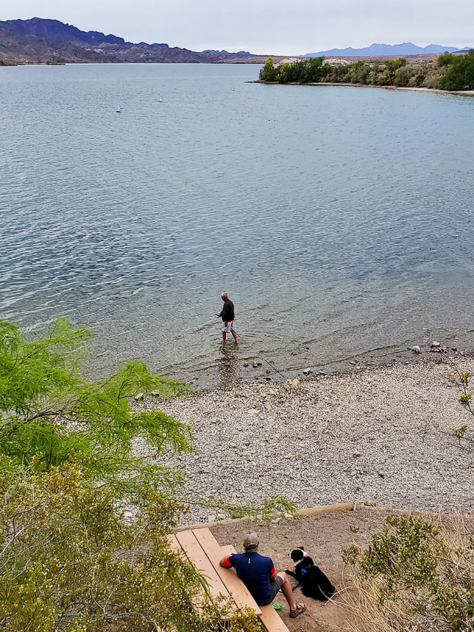 Wade into the refreshing waters where the swimming area's gradual entry makes it perfect for visitors of all ages.