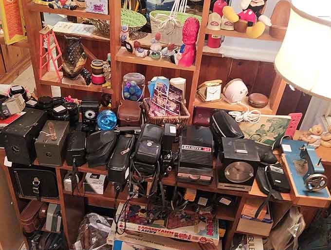 This camera collection represents an era when photography required actual skill, not just pointing your phone and hoping for the best.