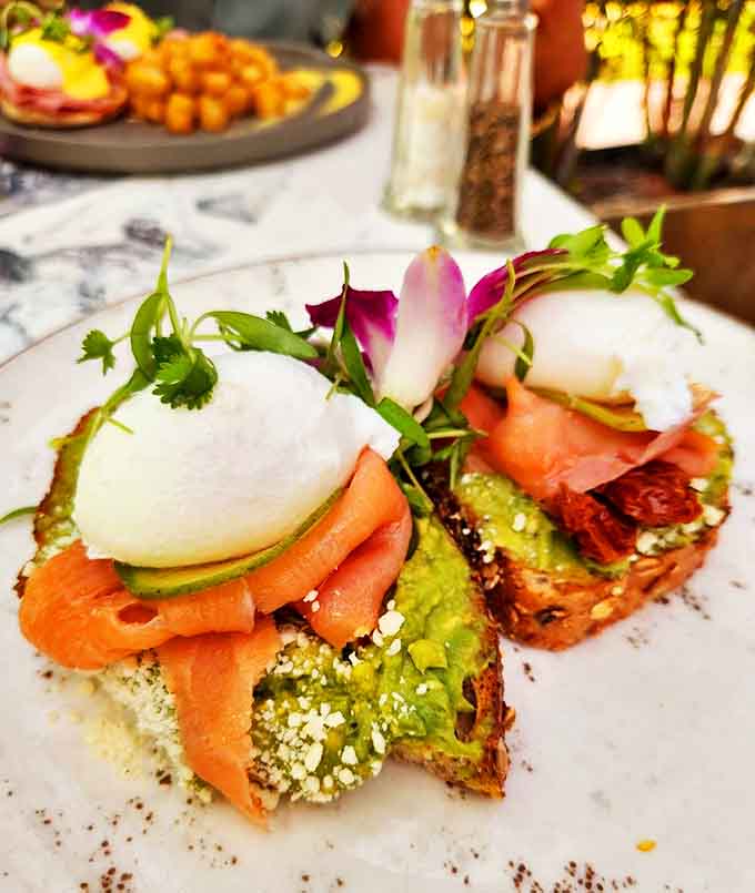 Avocado toast reimagined &ndash; creamy avocado, smoky salmon, and a perfectly poached egg create a breakfast so photogenic it deserves its own Instagram account.