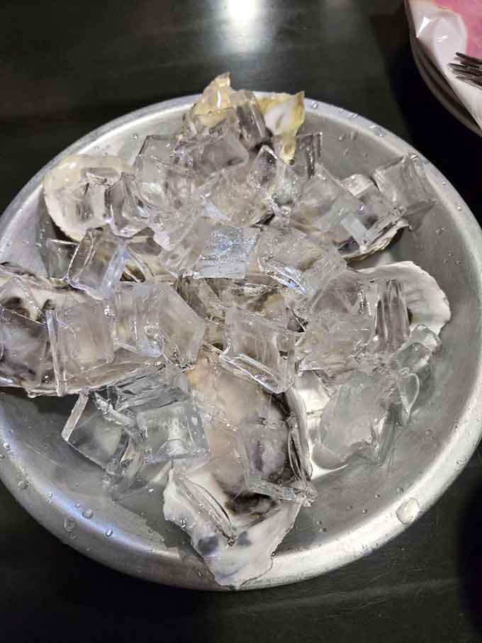 Fresh oysters on ice, because sometimes you need to start your seafood feast with something elegant.