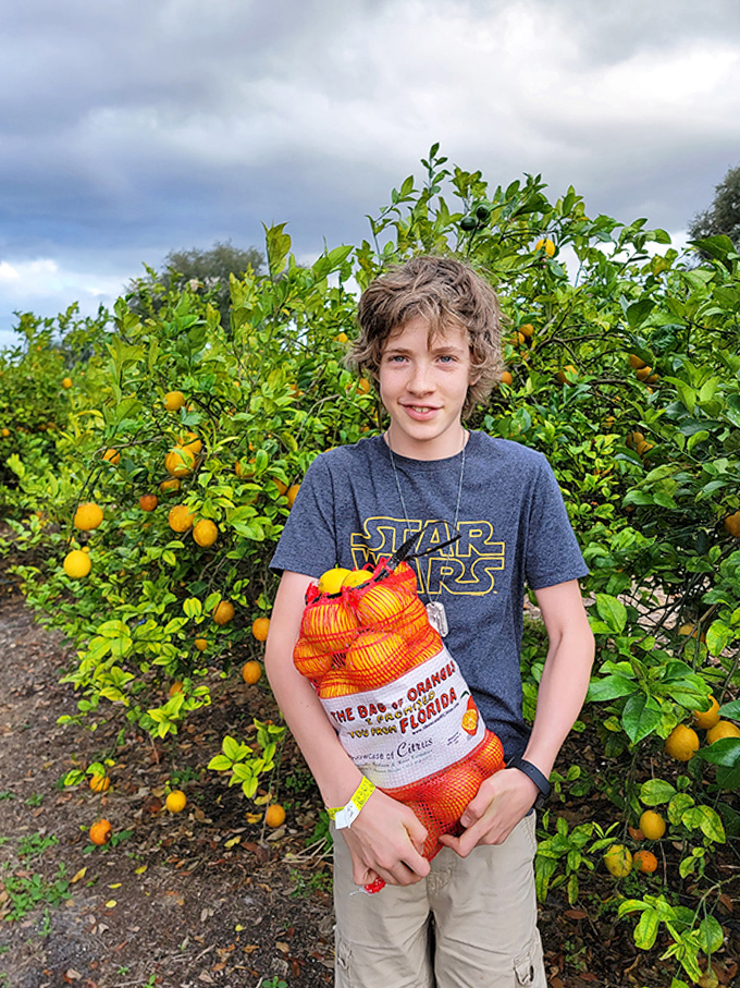 Fresh-picked Florida sunshine! A young explorer proudly displays his citrus bounty &ndash; sweeter than any theme park souvenir.