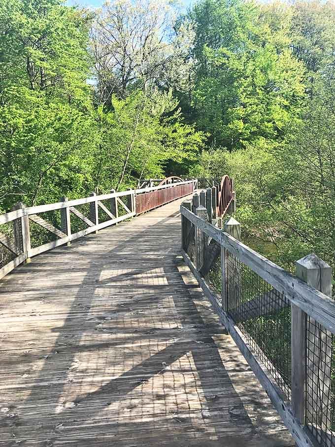 The bridge pathway winds through greenery like a scene from a nature documentary, except you're the star of this show.