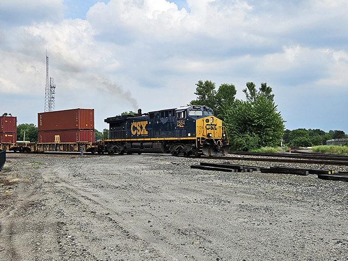 Witness the incredible scale of modern rail transport as you watch long lines of containers move across the landscape.