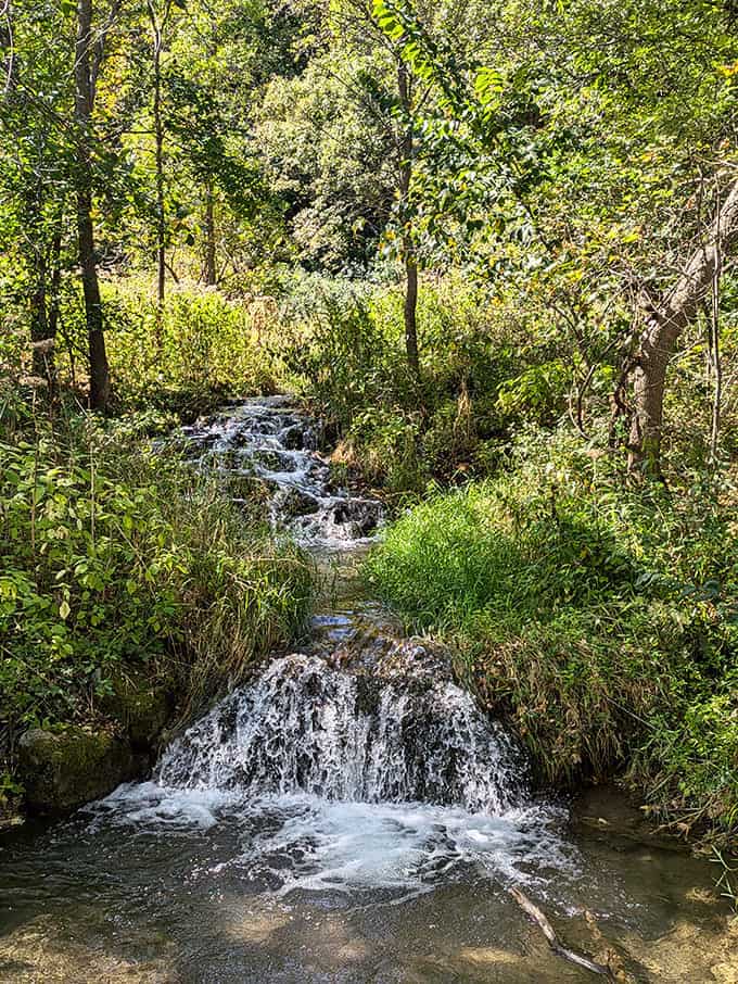 Summer at Camden means lazy afternoons by the water, where the biggest decision is whether to swim or nap first.