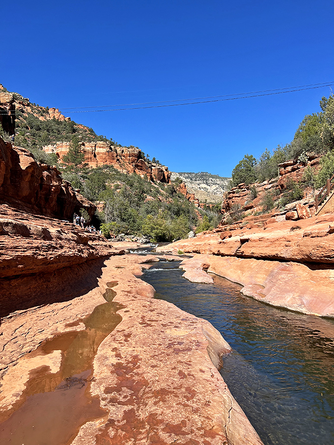 Oak Creek carves its patient path through red rock, a liquid highway that's been commuting through this canyon for millennia.
