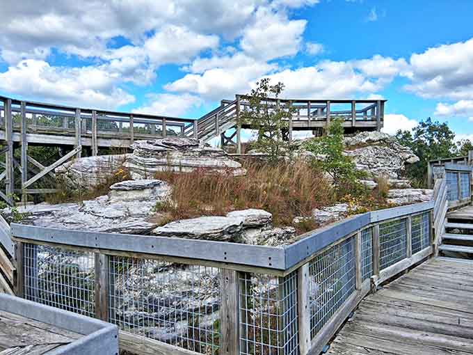The park's unique boardwalk system lets you explore dramatic rock formations without needing climbing gear or a death wish.