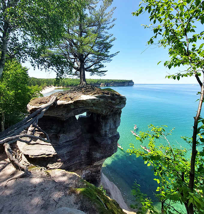 Chapel Rock cradles its determined pine tree, connected to the mainland by a single, stubborn root that refuses to give up.