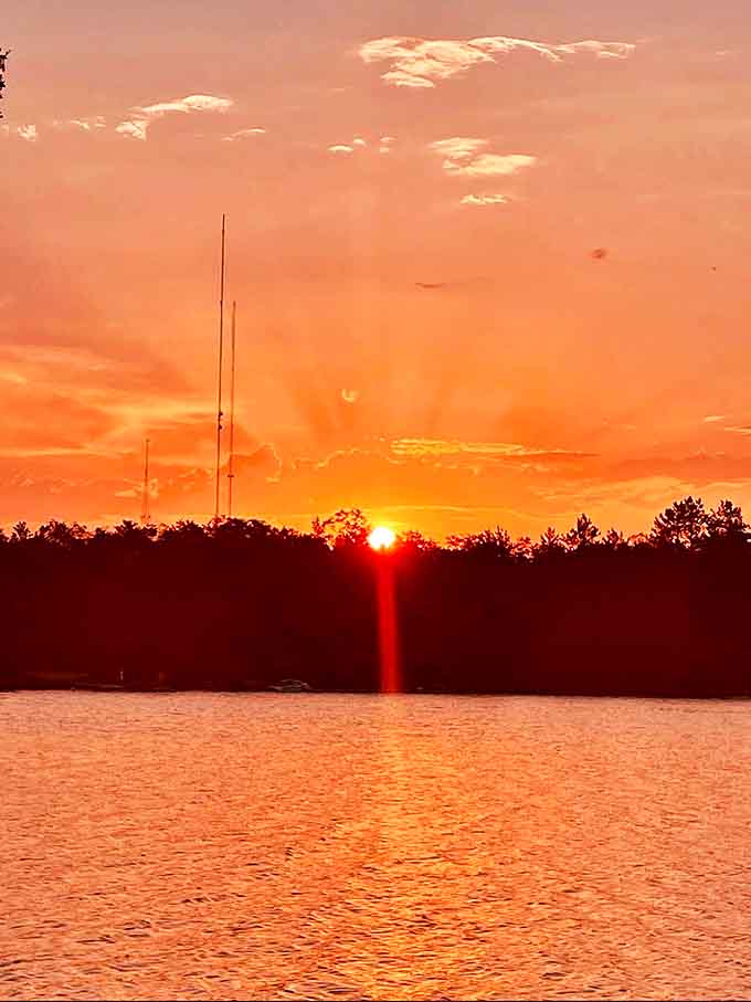 Nature's grand finale as the sun dips below the treeline, painting the sky and water in matching shades of fiery orange.