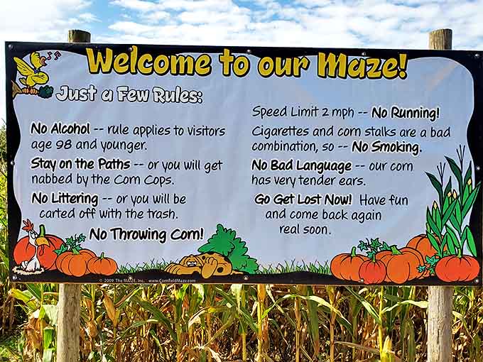 The corn maze rules board: where "No Running" meets "No Bad Language," though both rules are tested when you've been lost for 45 minutes.
